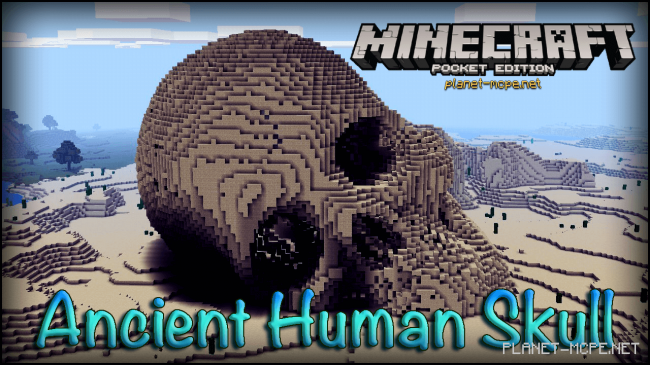 Download Ancient Human Skull For Minecraft 1.21,1.20