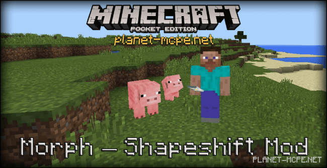 Download Morph [Shapeshift] Mod For Minecraft 1.20, 1.19, 1.18 For Free