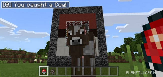 Download Poke Balls [Redstone] Map For Minecraft 1.21,1.20