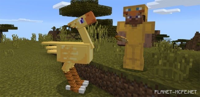 Download Chocobos Mod For Minecraft 1.20, 1.19, 1.18 For Free