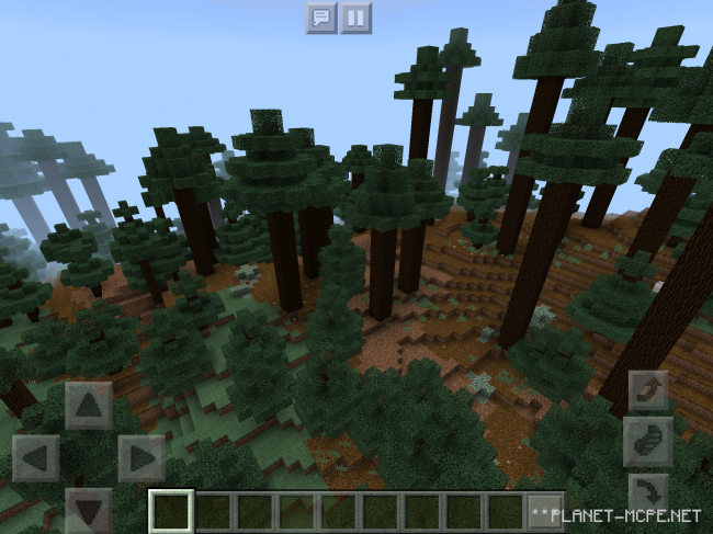 Download Seed For Coniferous Forests 1.2 For Minecraft 1.21,1.20