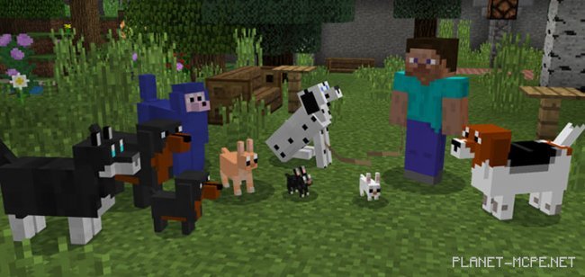 Download More Dogs Mod For Minecraft 1.20, 1.19, 1.18 For Free