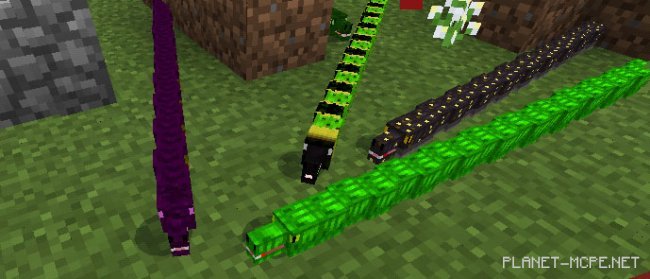 Download Iguanas And Snakes Mod For Minecraft 1.20, 1.19, 1.18 For Free