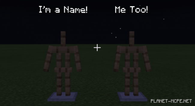 Download Always Show Nametags Mod For Minecraft 1.20, 1.19, 1.18 For Free