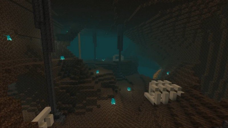 Soul Sand Valley (Biome) / Minecraft Guide