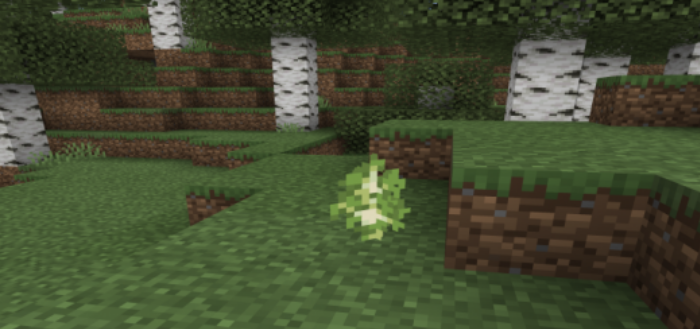 Download Natural Saplings Mod For Minecraft 1.20, 1.19, 1.18 For Free