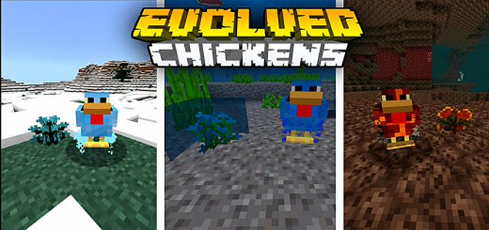 Download Evolved Chickens Mod For Minecraft 1.20, 1.19, 1.18 For Free